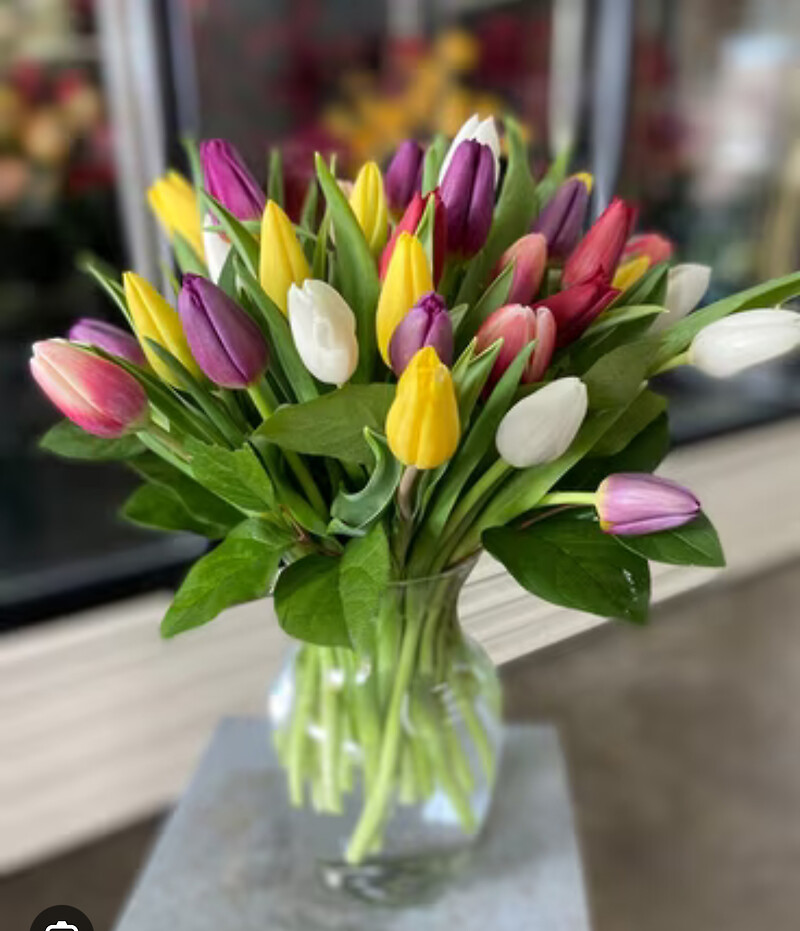 Assorted Tulips arranged by a florist in Freehold, NJ : Garden State ...